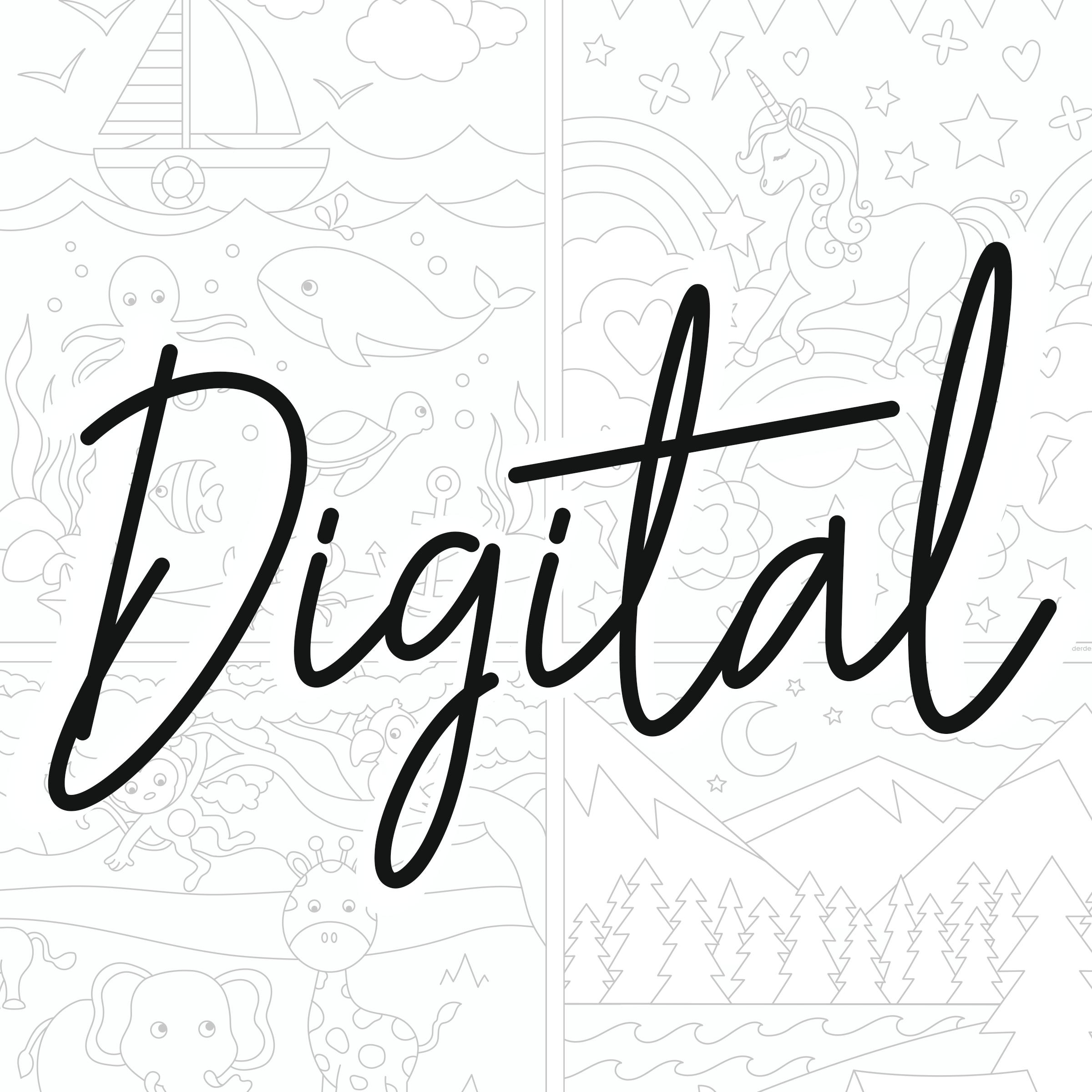 digital header for shop – SPYDERDESIGN CO